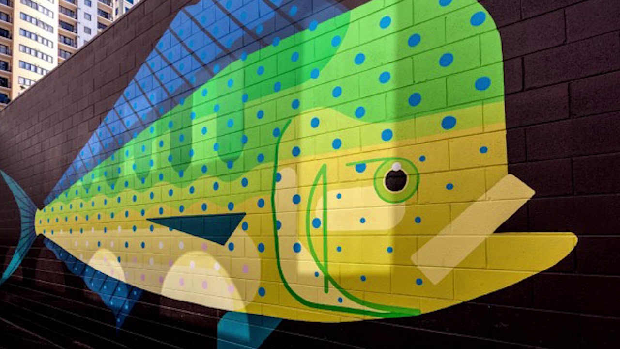 Jemma Scott | Mural Artist Interview | The Basement Gallery