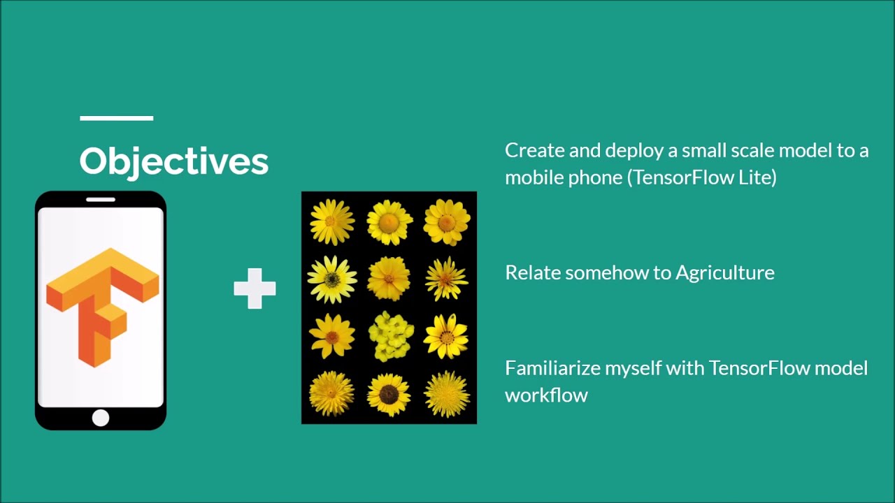 TensorFlow Flower Image Classifier AI presentation and Demo by Andrew Rodriguez