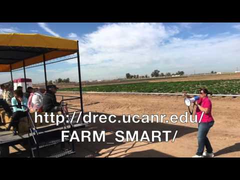 Desert Review Newscast 2:11:2016