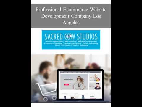 Professional Ecommerce Website Design Company Los Angeles