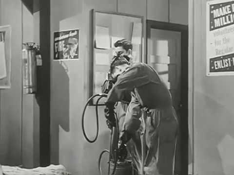 DDT in Control of Household Insects (U.S. War Department, 1947)
