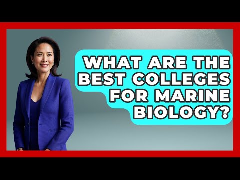 What Are The Best Colleges For Marine Biology? - The College Explorer