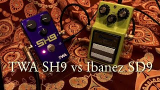 TWA SH9 Scott Henderson Signature Distortion - What To Know & Where To ...