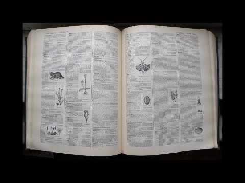 Antécesseur | Dictionnaire français audio