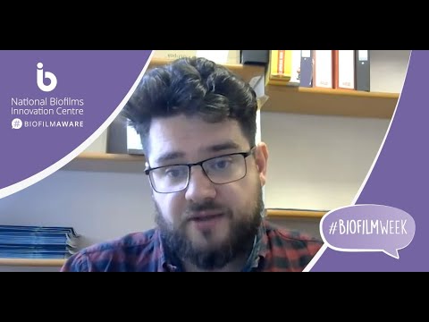 #BiofilmWeek Research in Focus: Understanding How Microbes Behave in Real Life