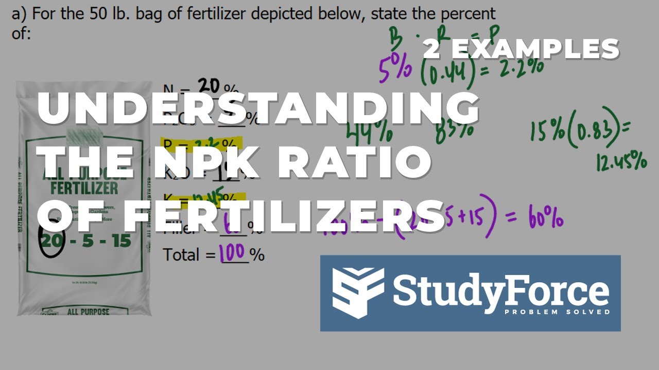 Understanding the NPK Ratio of Fertilizers (With Examples)