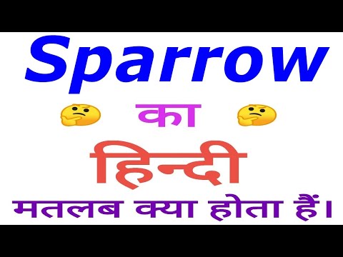 Sparrow meaning in hindi | Sparrow in hindi | Sparrow in hindi meaning