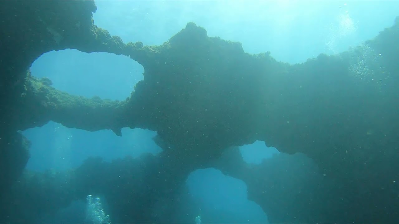 1 Mahi Video Intro Draft 1