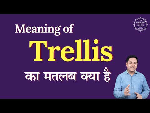 ट्रेलिस का अर्थ | ट्रेलिस का क्या अर्थ है | ट्रेलिस का अर्थ