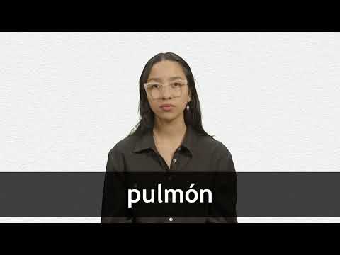 Traducción en inglés de “PULMÓN” | Collins Diccionario español-inglés