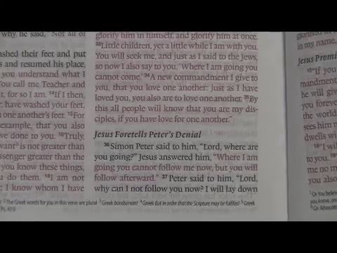 The Gospel of John, Chapter 13 ESV