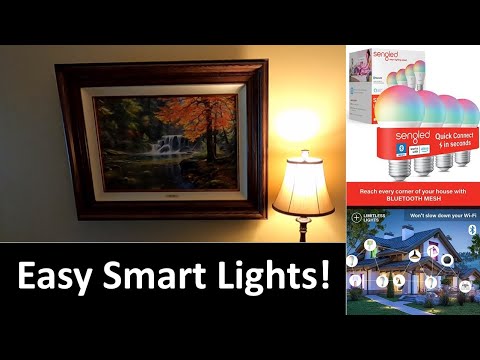 Best Smart Light Bulbs for Alexa In 2023 | Sengled LED Smart Light Bulbs
