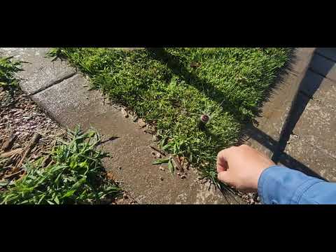 MP rotator not spinning!? A Quick Fix!