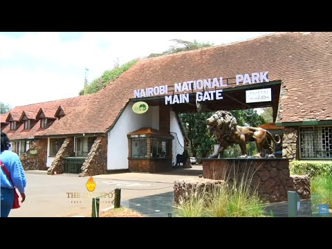 The Only National Park Within A Capital City In The World -The Nairobi National Park