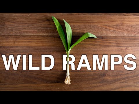 what the hell are RAMPS?
