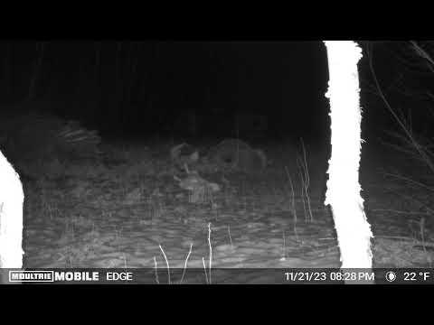 Minnesota hunting lease now available on HLRBO!