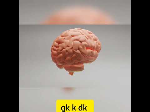 human brain facts? #shorts interestingfacts amazingfacts unkownfacts randomfacts bengalifacts bangla