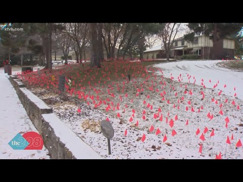 Boise woman who memorializes Idahoans who have died from COVID-19 adds nearly 275 flags in December