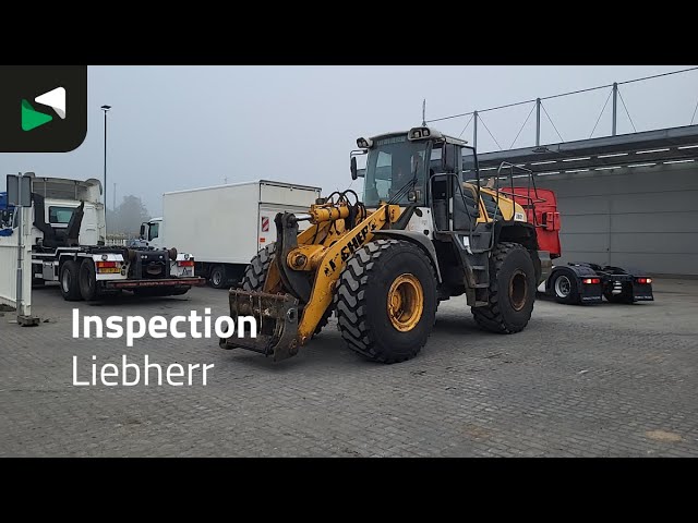 Liebherr L550 Wheel loader - BAS World