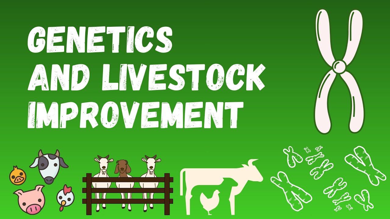 Basic Concepts of Genetics and Livestock Improvement