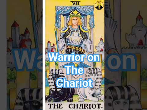 #Warrior on #TheChariot #LearnTarotCardReading #TarotAnkit #TarotDaily #TarotGram