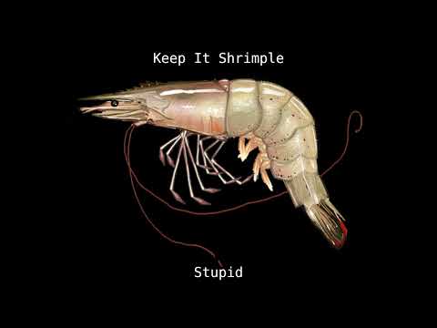 Nyquiss (Austin Larsen) - Keep It Shrimple Stupid