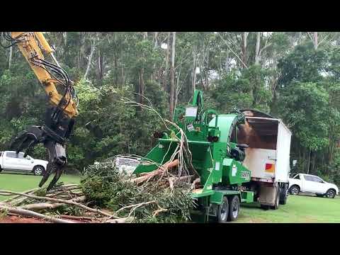 Raw footage Bandit 20XP-HD whole tree chipper in Australia