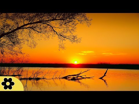 sans and fnaf x child reader - request are open - Wattpad