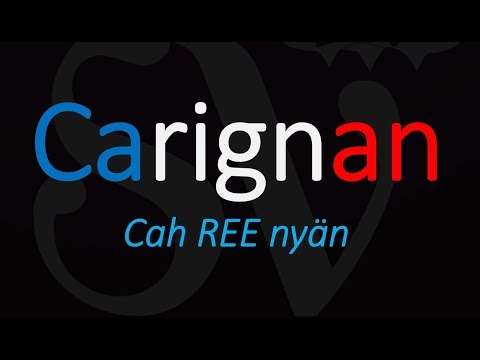 How to Pronounce Carignan? French Wine Pronunciation