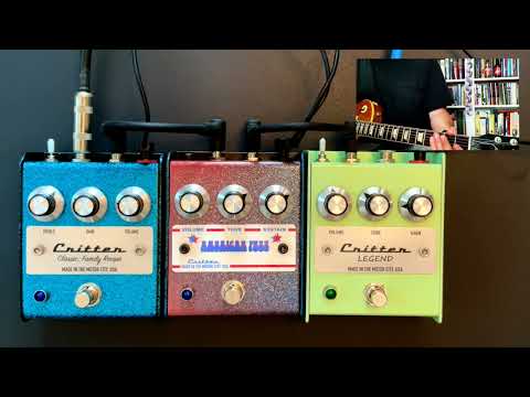 Critter American Fuzz 2024 | Reverb