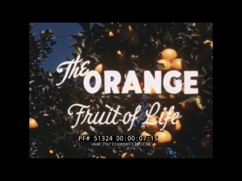 THE ORANGE FRUIT OF LIFE PROMOTIONAL FILM ST. PETERSBURG FLORIDA 51324