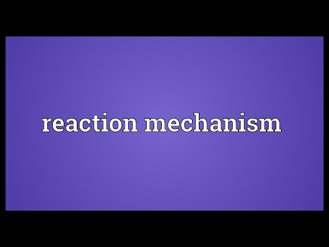Reaction mechanism Meaning