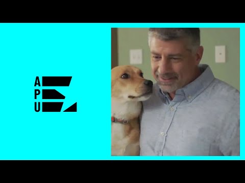 Faculty Spotlight: Dr. Michael Pittaro | American Public University (APU)