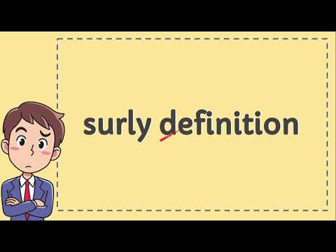 surly definition