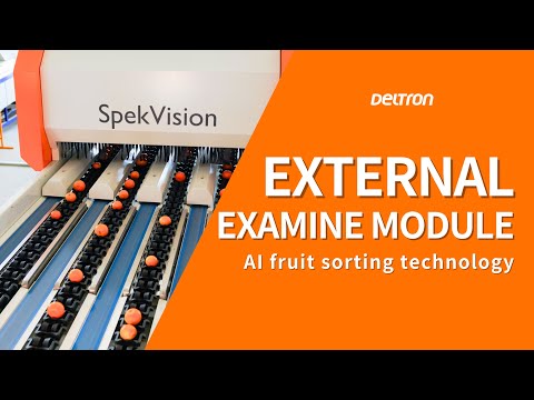 SpekVision: AI fruit sorting technology from Deltron