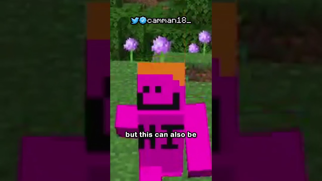 the item frame has  a dark secret...