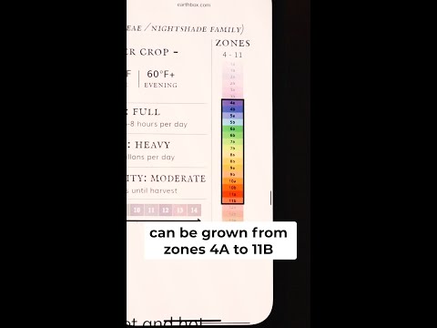 Let's talk zones! 🌐✨