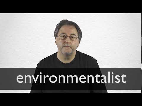 ENVIRONMENTALIST definition and meaning | Collins English Dictionary