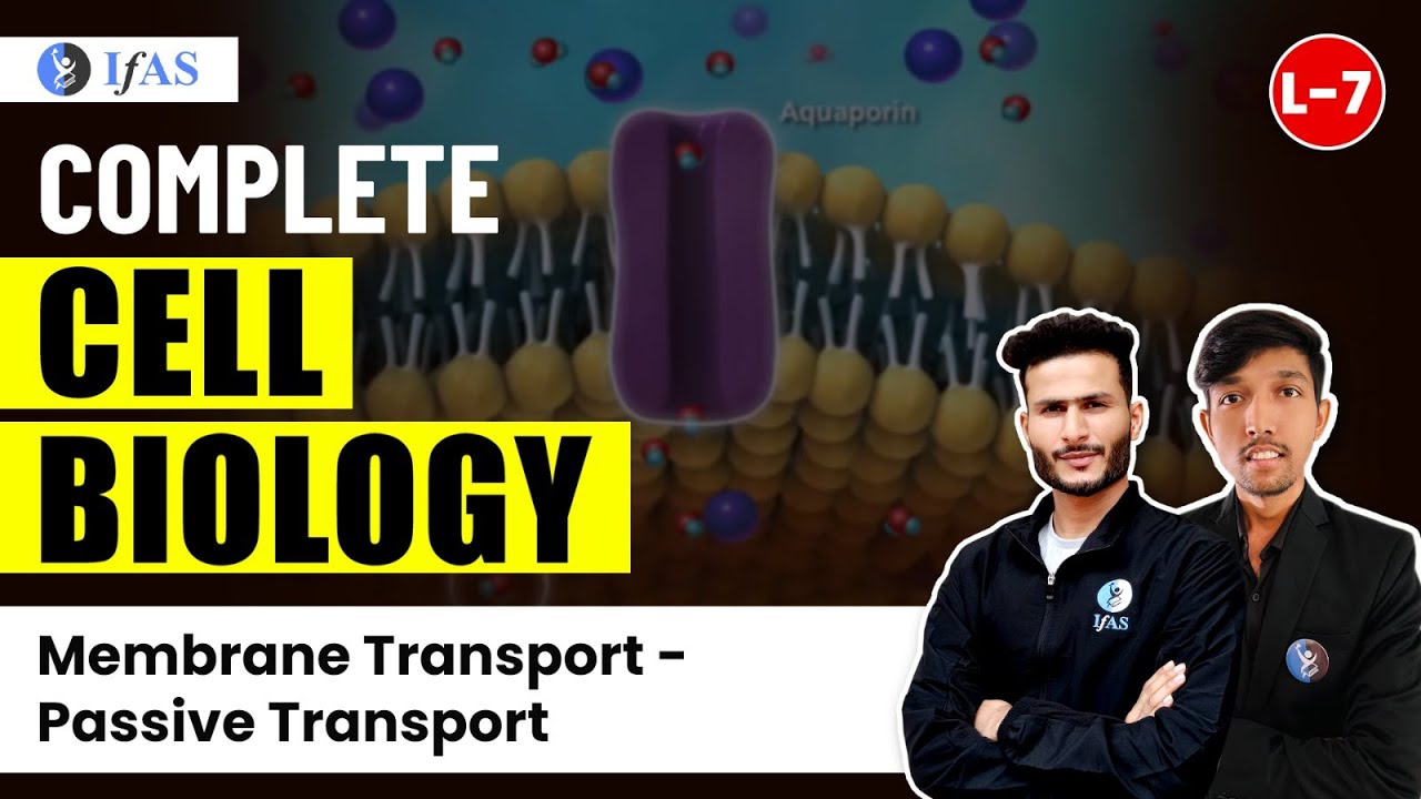 Understanding Passive Transport in Membrane Biology | Galaxy.ai