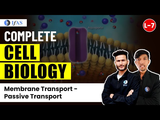 Understanding Passive Transport in Membrane Biology | Galaxy.ai