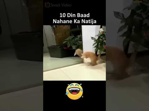 Download snack video app. 👍