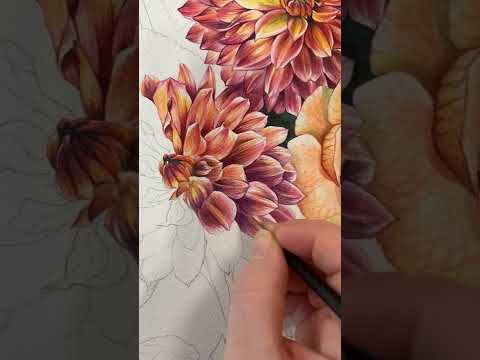 Let’s Paint A Dahlia