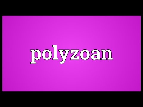 Polyzoan Meaning