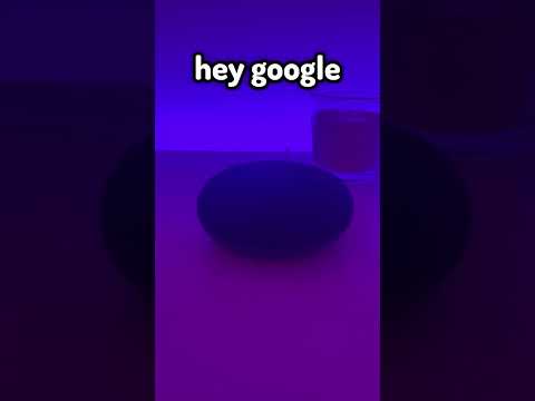 Why Google Home is the BEST