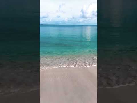 Ocean Waves Sound Effect#naturesound#relaxation#asmrsounds #beach