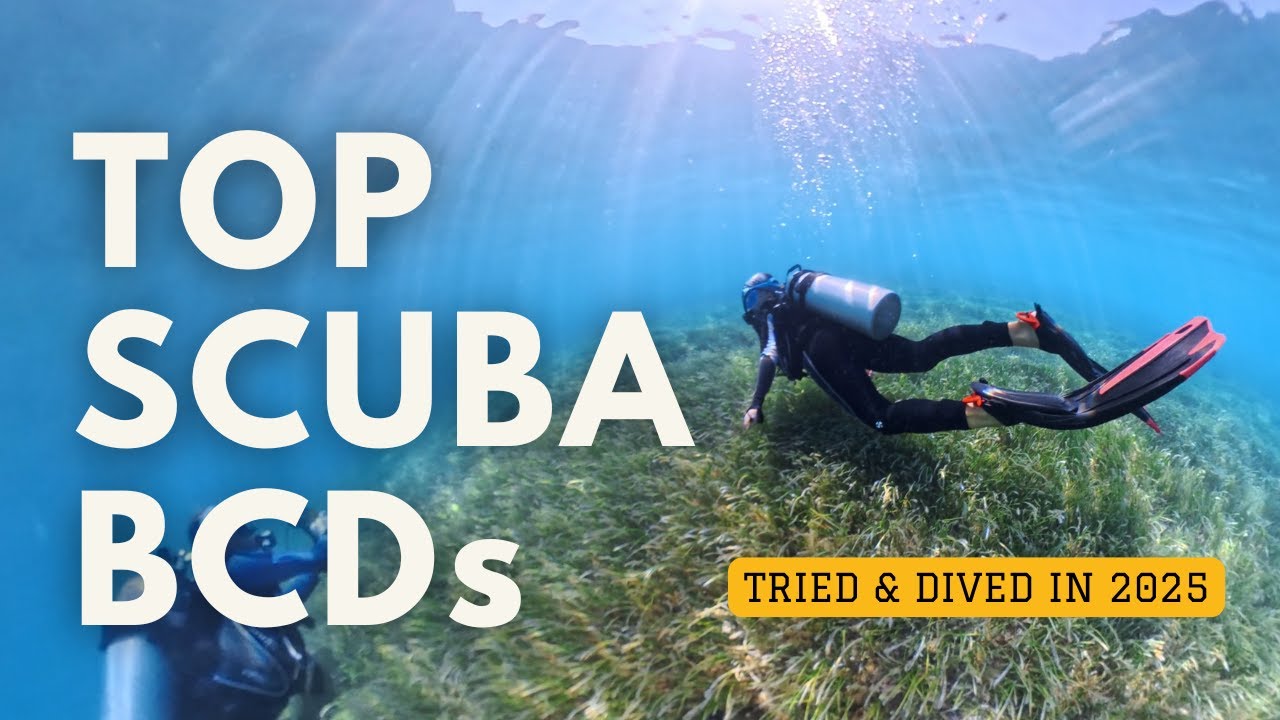 21 Best Scuba BCDs Tested by Dive Instructors 2026