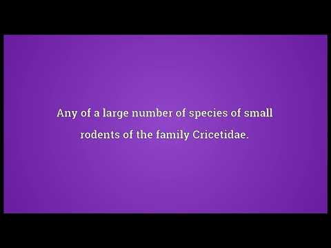 vole meaning in English