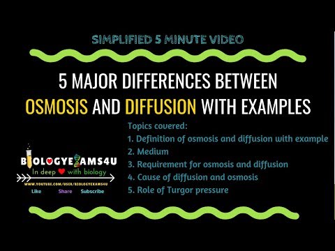 5 Major Differences between Osmosis and Diffusion with Examples