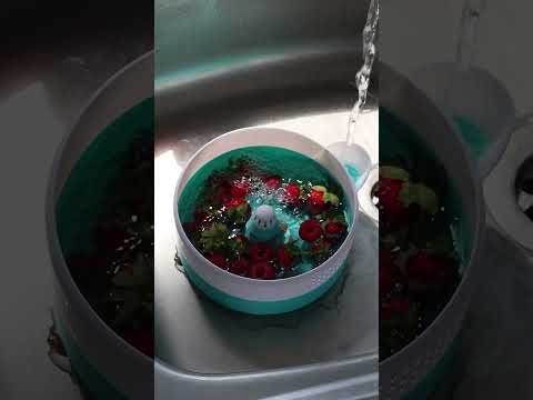 Aquavortex Veggie & Berry Washer