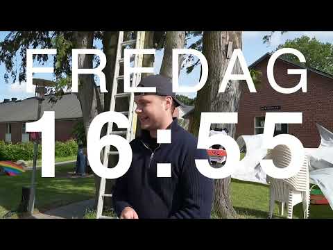 Festivillavej shortdox